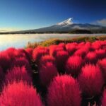 From Tokyo: Mount Fuji Customizable Guided Full Day Tour - Detailed Breakdown of the Itinerary