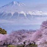 From Tokyo: Mount Fuji Customizable Private Tour with Guide - Authentic Experiences and What Travelers Say