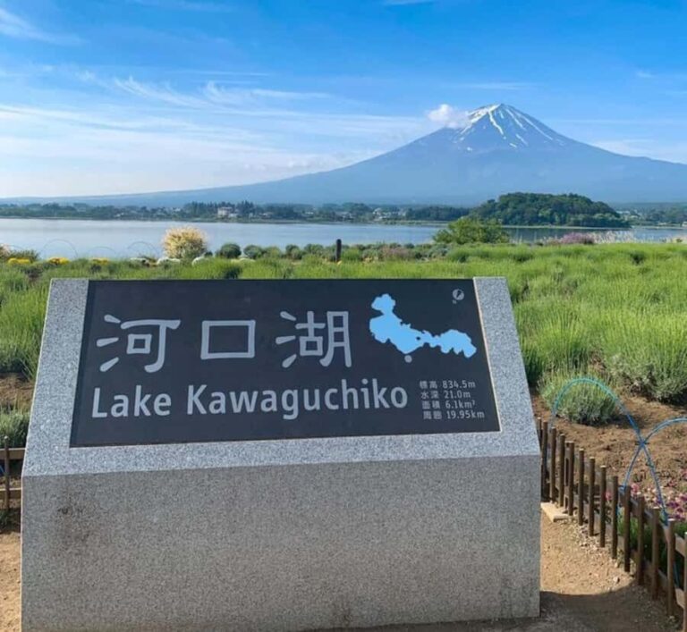 From Tokyo: Mount Fuji Customizable Private Tour with Guide - The Itinerary Breakdown