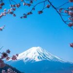 From Tokyo: Mount Fuji Day Trip  Private & Customizable - Who Is This Tour Best For?
