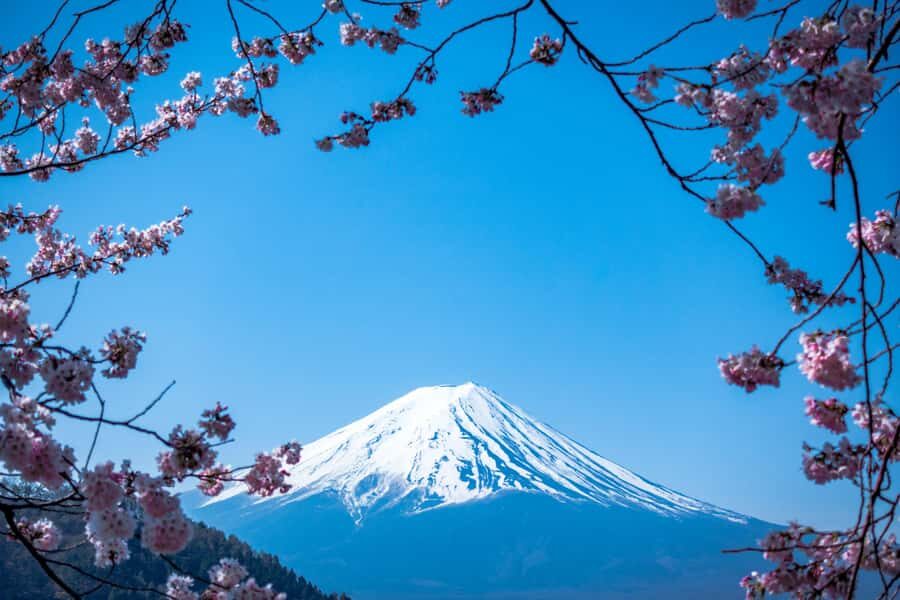 From Tokyo: Mount Fuji Day Trip  Private & Customizable - Who Is This Tour Best For?