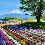 From Tokyo: Mount Fuji Full Day Customizable Private Tour - What Travelers Say: Authentic Insights