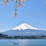 From Tokyo: Mount Fuji Full Day Customizable Private Tour - Who Should Consider This Tour?