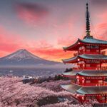 From Tokyo: Mount Fuji Full Day Customizable Private Tour - Practical Considerations