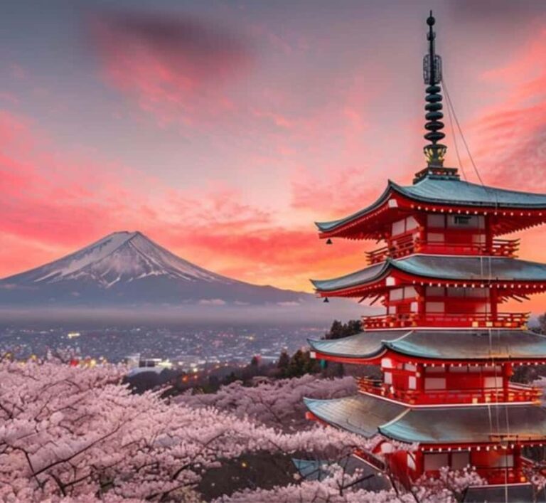 From Tokyo: Mount Fuji Full Day Customizable Private Tour - Practical Considerations