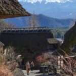 From Tokyo: Mount Fuji Full Day Customizable Private Tour - What Makes This Tour Stand Out?