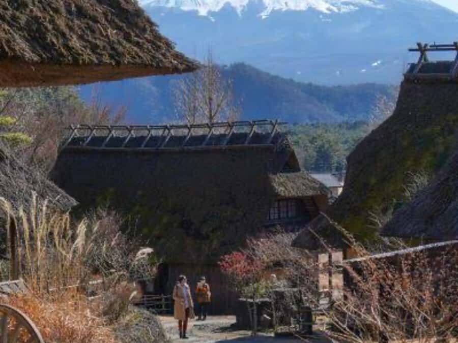 From Tokyo: Mount Fuji Full Day Customizable Private Tour - What Makes This Tour Stand Out?