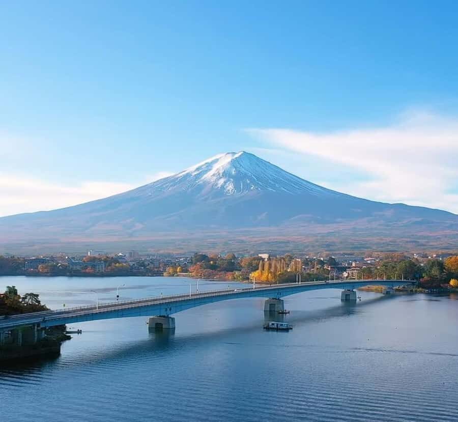 From Tokyo: Mount Fuji Full Day Customizable Tour with Guide - What You Can Expect on the Tour