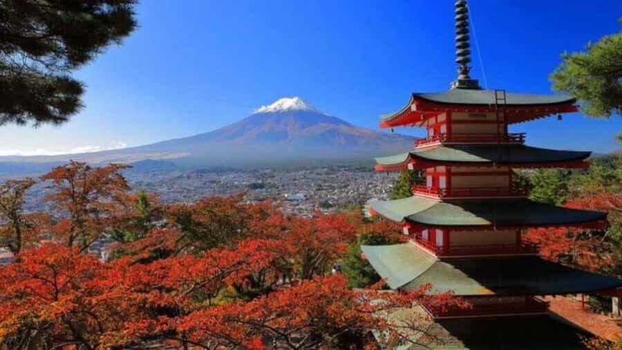 From Tokyo: Mount Fuji Full Day Customizable Tour With Guide - Why Choose This Tour?