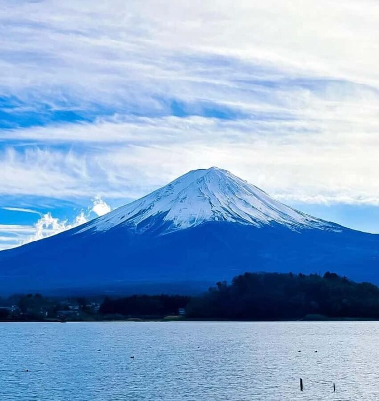 From Tokyo: Mount Fuji Full Day Customize Private Tour - What Makes This Tour Stand Out