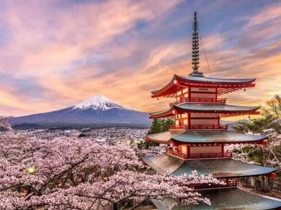 From Tokyo: Mount Fuji Full Day Private Customized Tour - The Experience in Detail: What You Can Expect