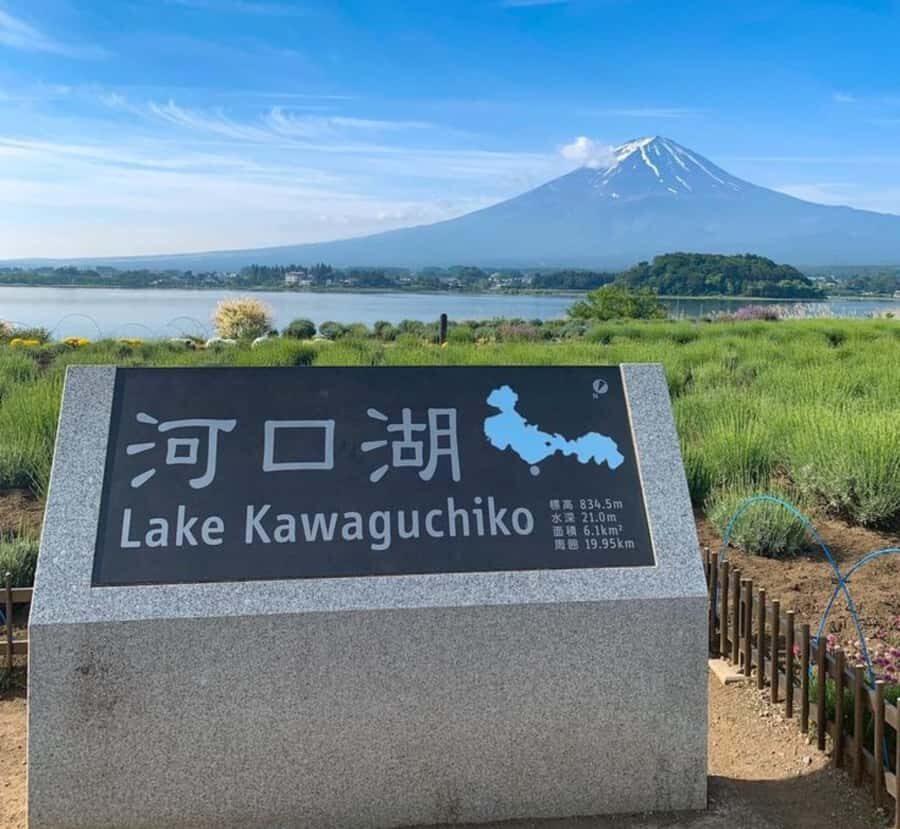 From Tokyo: Mount Fuji & Hakone Full Day Private Tour - Who Will Appreciate This Tour?