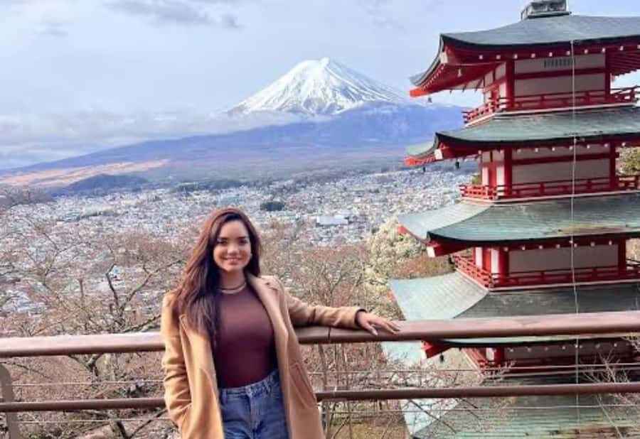 From Tokyo : Mount Fuji & Hakone Private Tour With Guide - What Makes This Tour Stand Out?