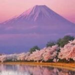From Tokyo: Mount Fuji Highlight Full Day Private Tour - Assessing the Value