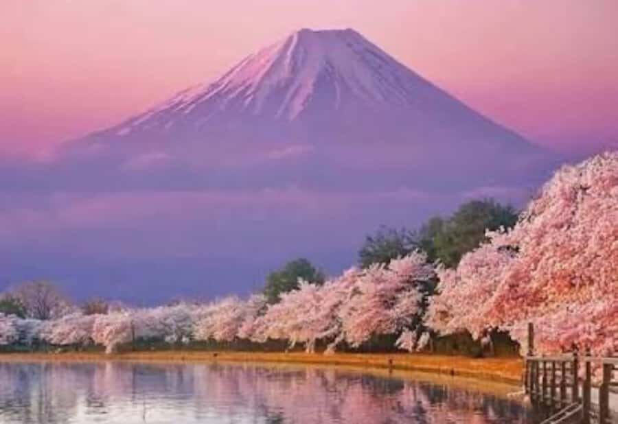 From Tokyo: Mount Fuji Highlight Full Day Private Tour - Assessing the Value