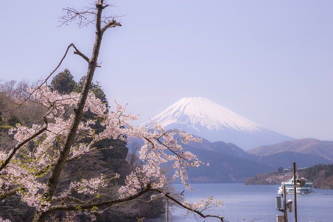 From Tokyo: Mount Fuji, Macha Workshop and Shopping Tour - Authentic Insights from Recent Travelers