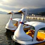 From Tokyo: Mount Fuji Private Customizable Full-Day Tour - The Value of This Tour