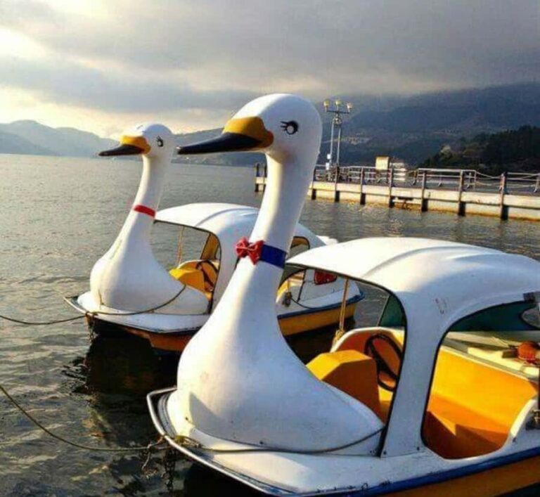 From Tokyo: Mount Fuji Private Customizable Full-Day Tour - The Value of This Tour