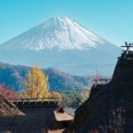 From Tokyo: Mount Fuji Private Customized Tour With Guide - The Value of This Tour