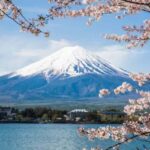 From Tokyo: Mount Fuji Private Day Tour With English Guide - Practical Details and Value