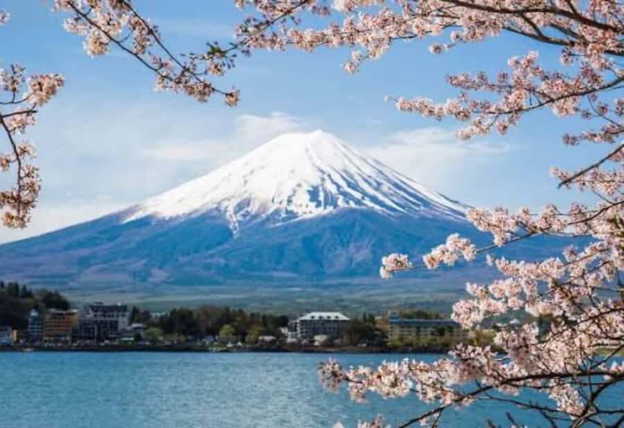 From Tokyo: Mount Fuji Private Day Tour With English Guide - Practical Details and Value