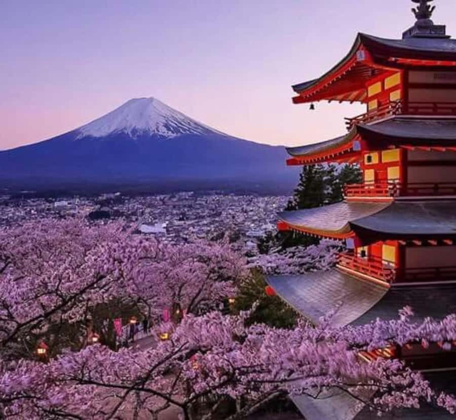 From Tokyo: Mount Fuji Private Tour with Driver-Guide - Practical Considerations and Value
