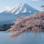 From Tokyo: Mount Fuji Private Tour with English Driver - Practical Details and What to Expect