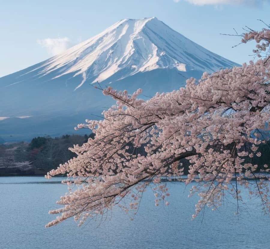 From Tokyo: Mount Fuji Private Tour with English Driver - Practical Details and What to Expect