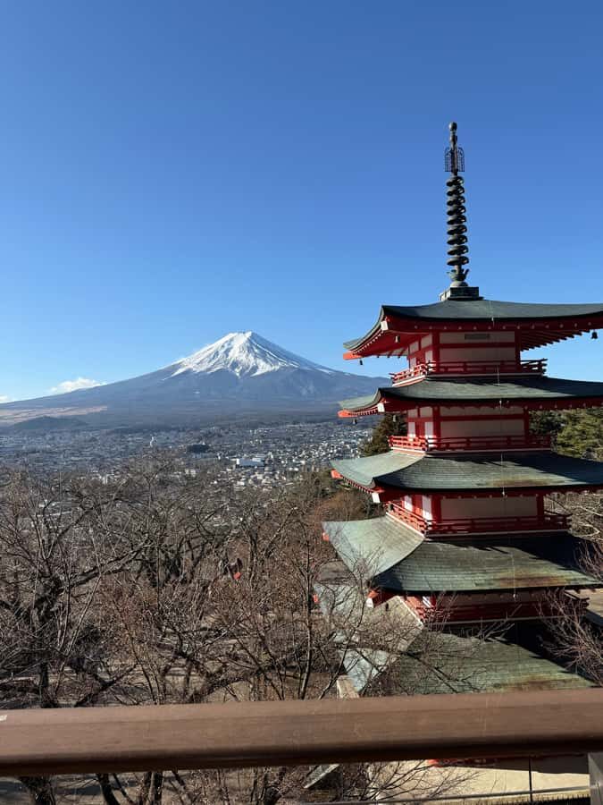 From Tokyo : Mount Fuji Private Tour with English Guide - What to Expect Day-Of
