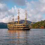 From Tokyo: Mount Fuji Private Tour with Professional Guide - Who Should Book This Tour?