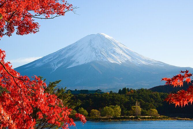 From Tokyo: Mount Fuji Sightseeing Full Day Trip - Authentic Experiences and Review Highlights
