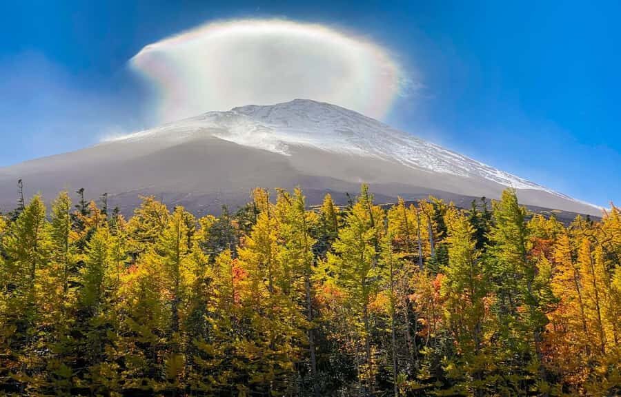 From Tokyo: Mt. Fuji 5th Station & Hot Spring Day Trip - A Detailed Look at the Tour Experience