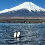 From Tokyo: Mt. Fuji 6 Attractions: Lake Kawaguchi, Oshino Hakkai - What the Tour Includes — and What Not
