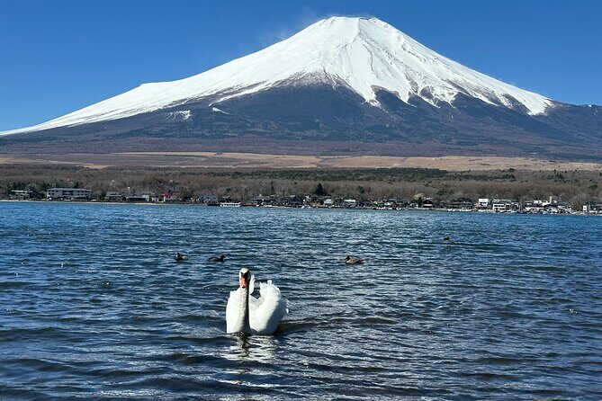 From Tokyo: Mt. Fuji 6 Attractions: Lake Kawaguchi, Oshino Hakkai - What the Tour Includes — and What Not
