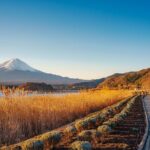 From Tokyo Mt.Fuji, Lake Kawaguchi, Makaino Farm day tour - Authenticity and Value: What Travelers Say