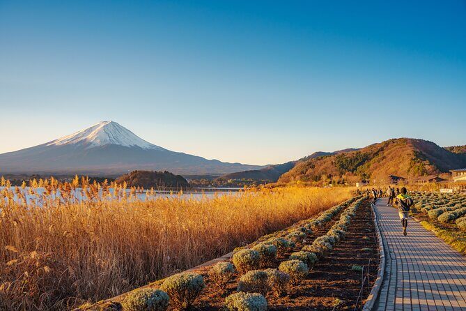 From Tokyo Mt.Fuji, Lake Kawaguchi, Makaino Farm day tour - Authenticity and Value: What Travelers Say