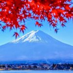 From Tokyo: Mt. Fuji One-Day Private and Customizable Tour - How the Itinerary Works in Practice