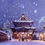 From Tokyo: Nagano Private Tour with English-Speaking Driver - The Itinerary: What to Expect