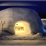 From Tokyo: Nagano Private Tour with Igloo Village & Monkeys - Exploring the Igloo Village