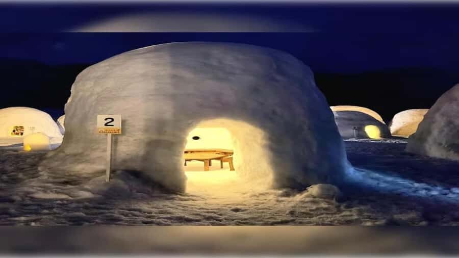 From Tokyo: Nagano Private Tour with Igloo Village & Monkeys - Exploring the Igloo Village