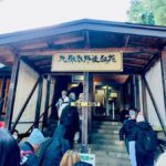 From Tokyo & Nagano Snow Monkeys Park Customized Day Tour - Transportation and Comfort