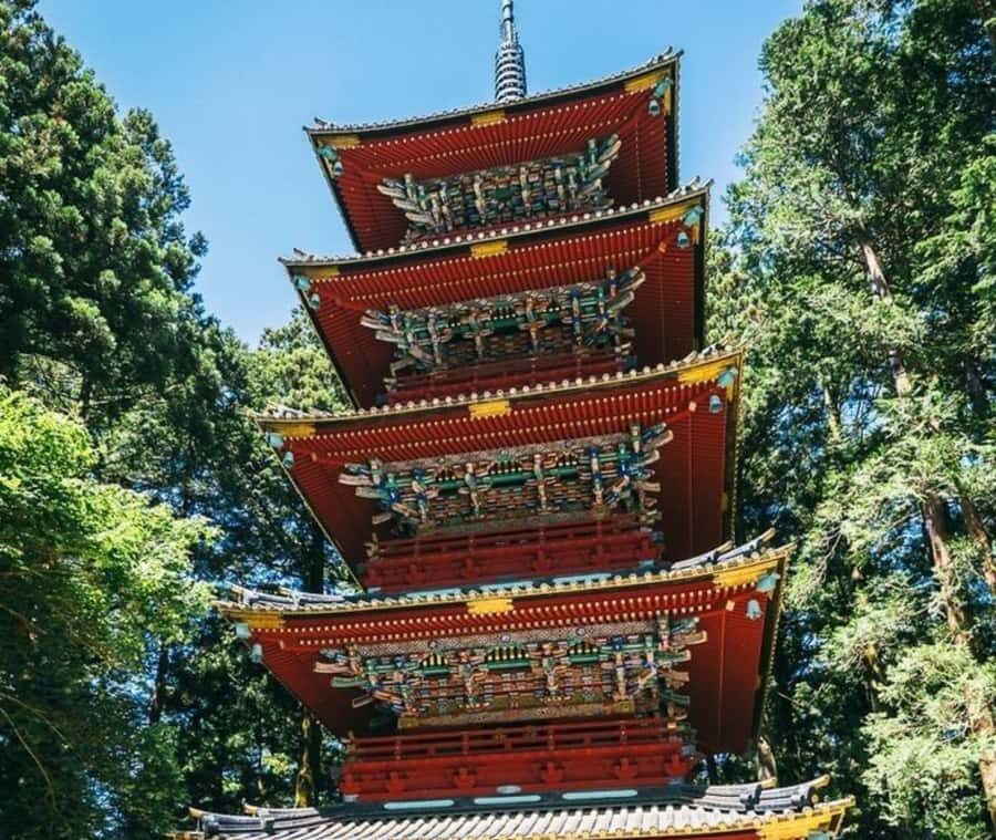 From Tokyo: Nikko Full Day Customizable Private Tour - Who Will Love This Tour?