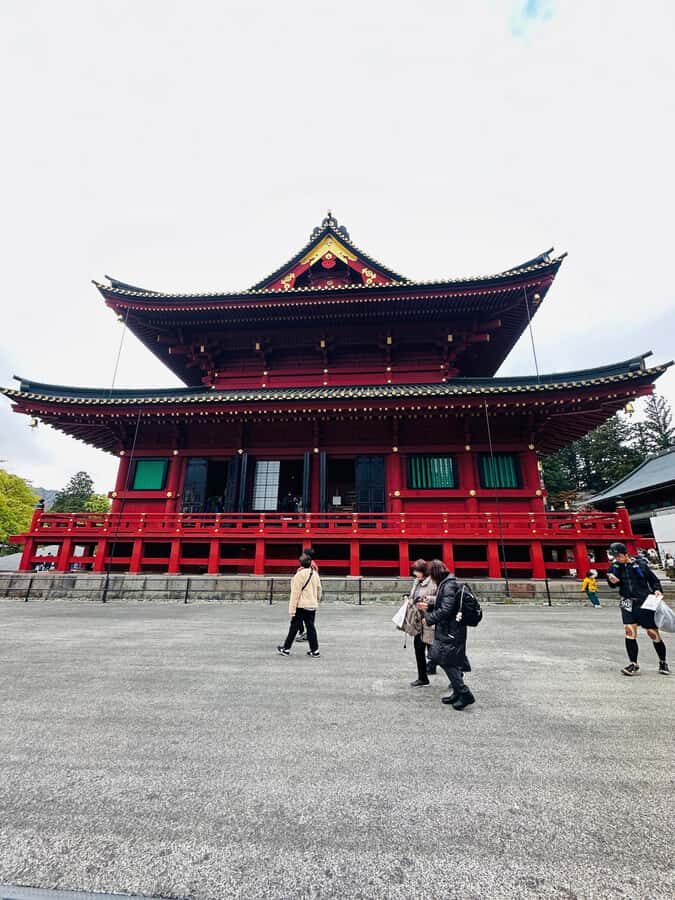 From Tokyo: Nikko Full Day Customize Tour With English Guide - What We Love About This Tour