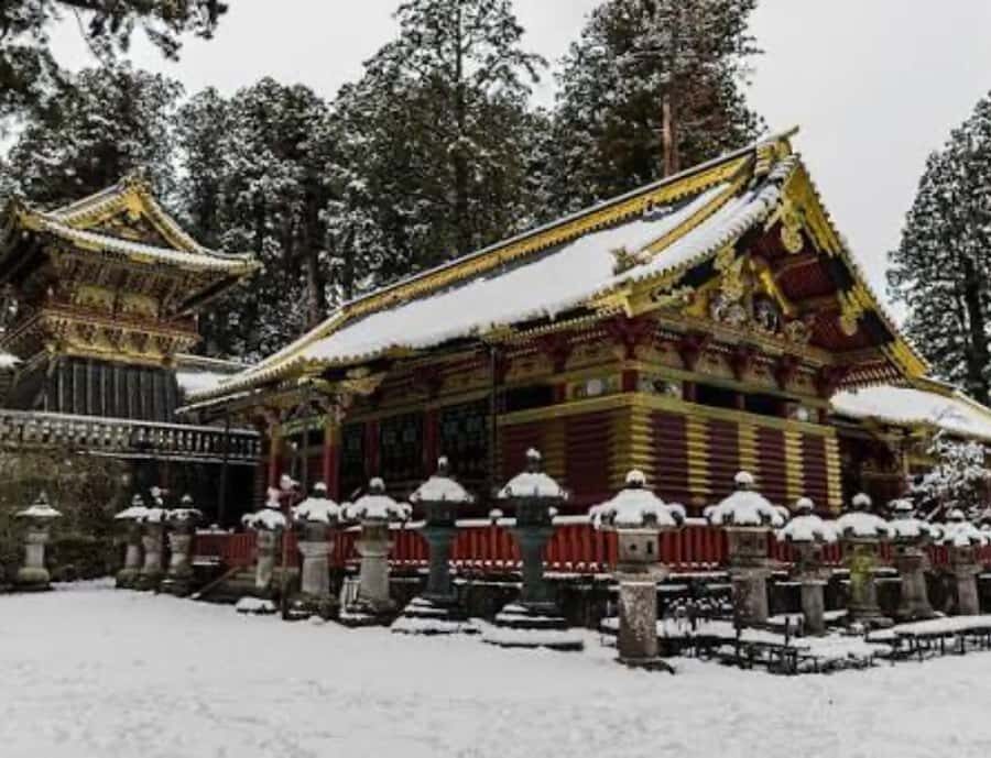 From Tokyo: Nikko Full Day Private Customizable Private Tour - The Benefits of a Private, Customizable Tour