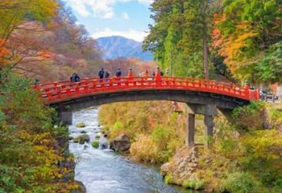 From Tokyo: Nikko Full Day Private Tour with English Guide - The Value of a Private, Fully Customizable Day Trip