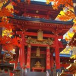 From Tokyo: Nikko Hidden Gems & Local Culture Tour - The Experience in Detail
