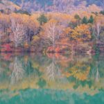 From Tokyo Nikko Lake Chuzenji & Toshogu Temple, Kegon Falls - Transportation & Logistics