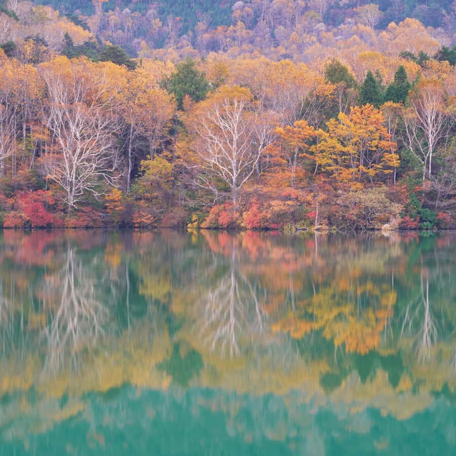 From Tokyo Nikko Lake Chuzenji & Toshogu Temple, Kegon Falls - Transportation & Logistics