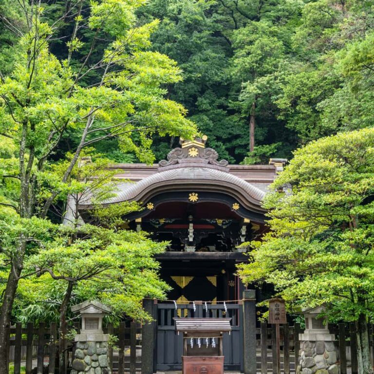 From Tokyo: Nikko National Park Private Full Day Tour In Car - Why We Think This Tour Is Worth Considering