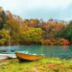 From Tokyo: Nikko One-Day Private Tour - Who Is This Tour Best For?